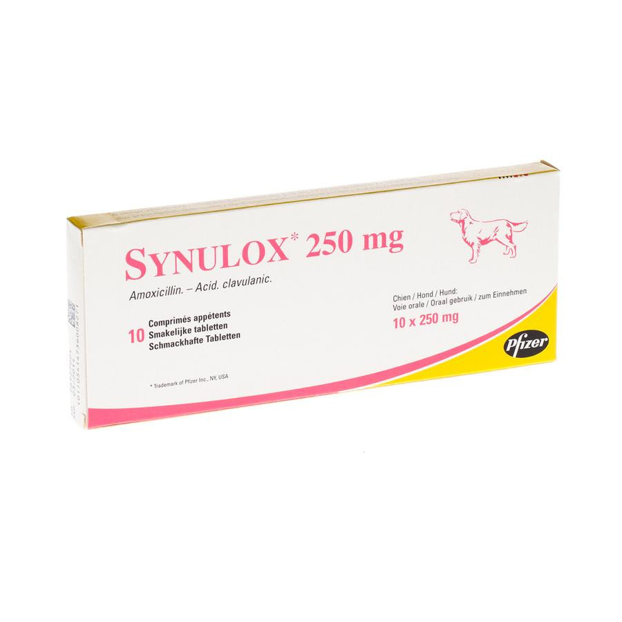 Synulox smakelijke tabl. 10 x 250mg kopen? | Multipharma.be